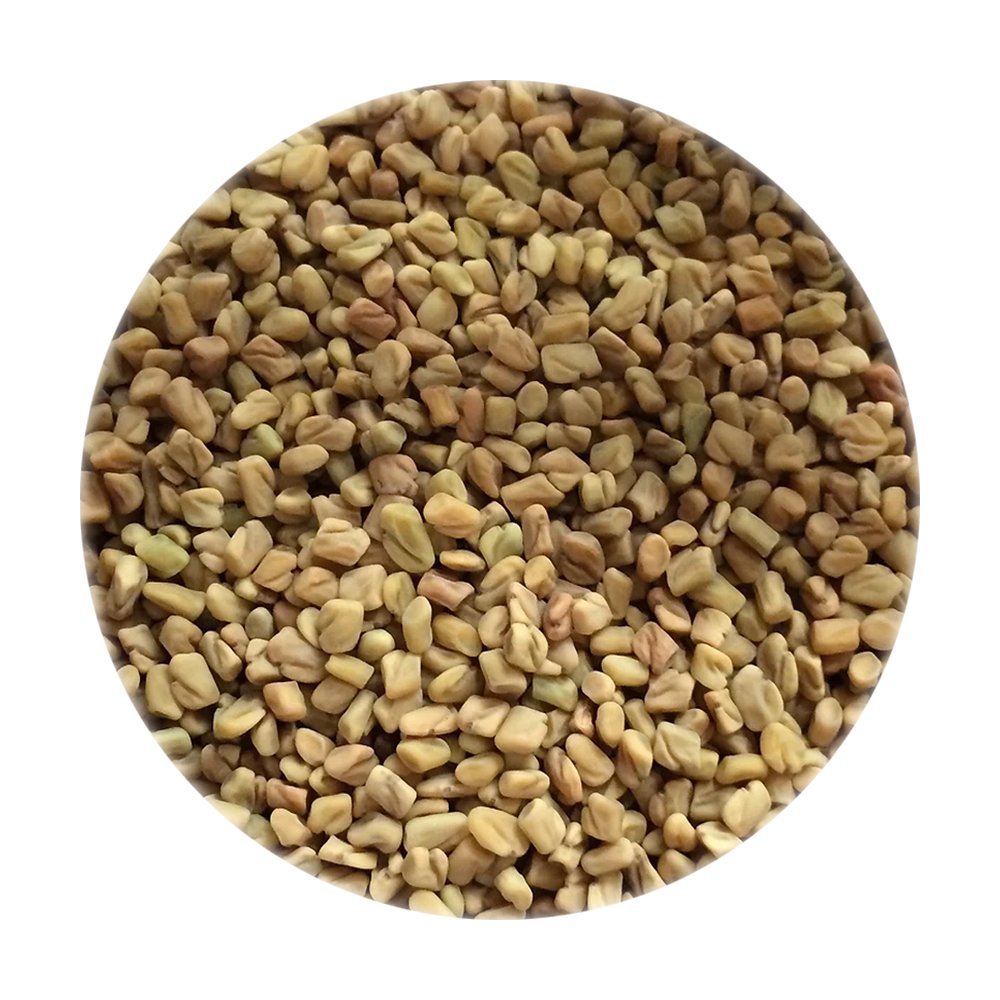 Fenugreek Seeds - Whole | 100g Pouch | Spice Kitchen